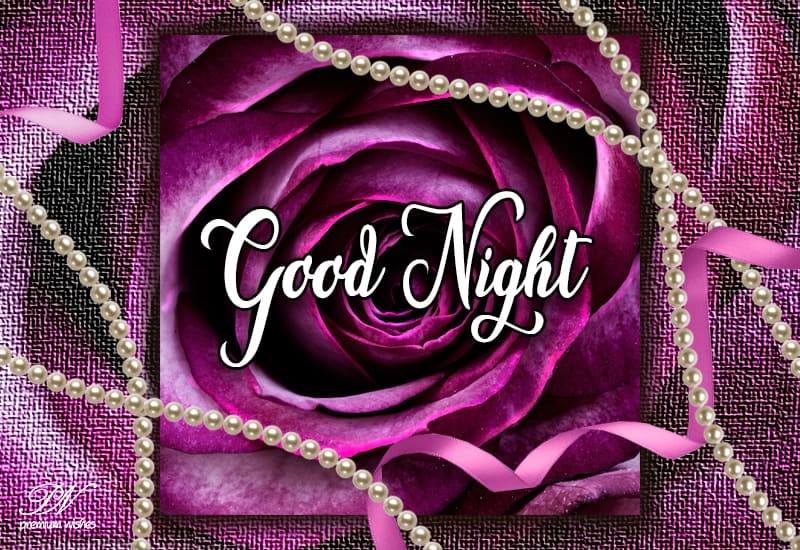 Good Night Roses For Your Dear Friend - Premium Wishes