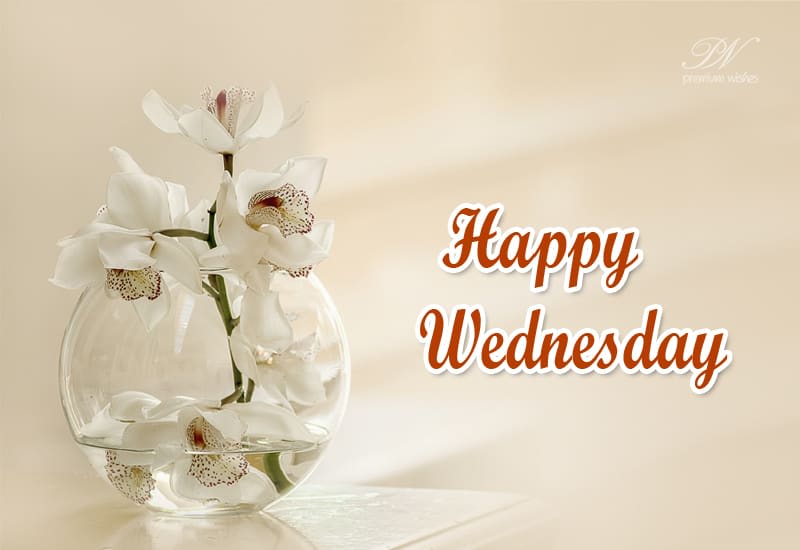Happy Wednesday Friends - Stay Safe - Premium Wishes