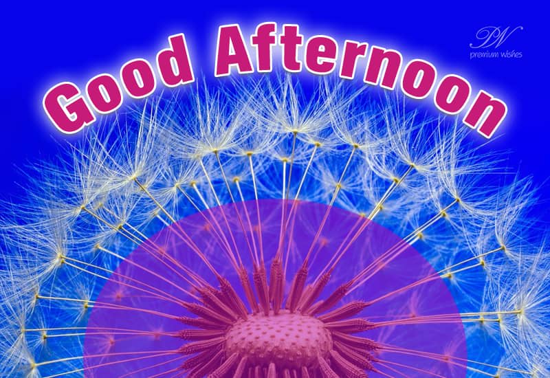 Good Afternoon Friends - Welcome To Work Again - Premium Wishes