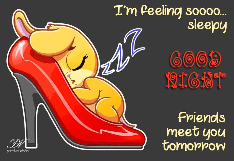 Good Night - Meet You Tomorrow - Premium Wishes