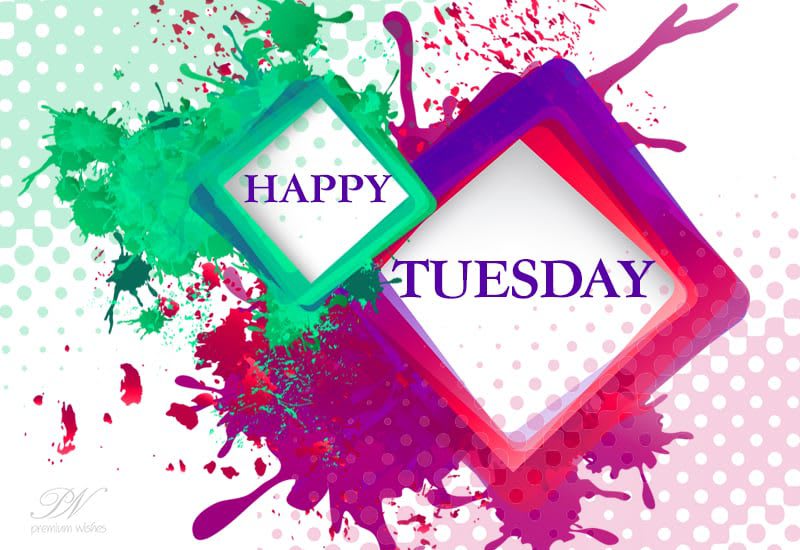 Happy Tuesday - Enjoy the colours - Premium Wishes