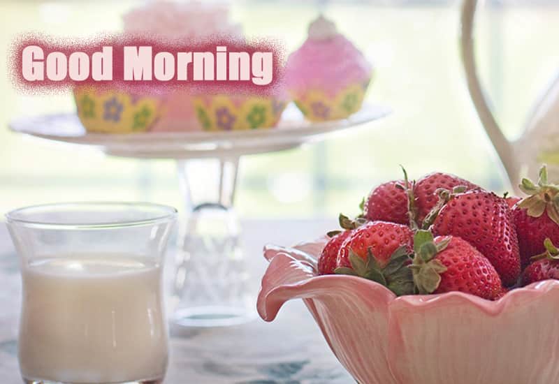 Good Morning Messages - Premium Wishes