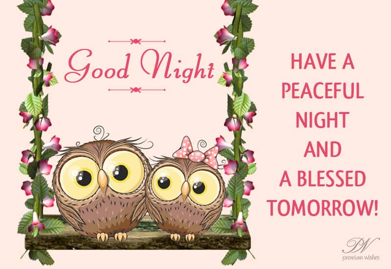 Good Night - Have A Blessed Tomorrow - Premium Wishes