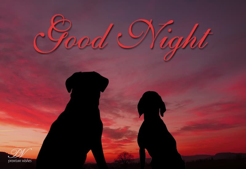 Good Night Sweet Prince, Free Images For WhatsApp Facebook Twitter