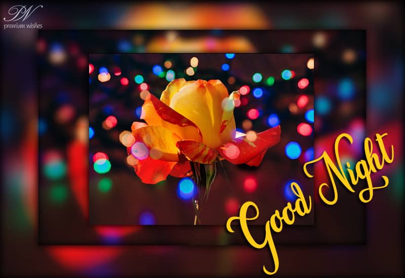 Enjoy the vibrant colours of the night - Good Night - Premium Wishes