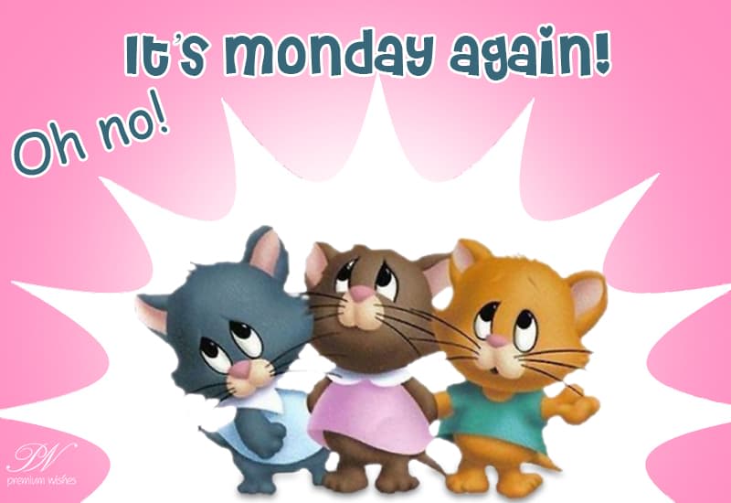 Monday Wishes - Premium Wishes