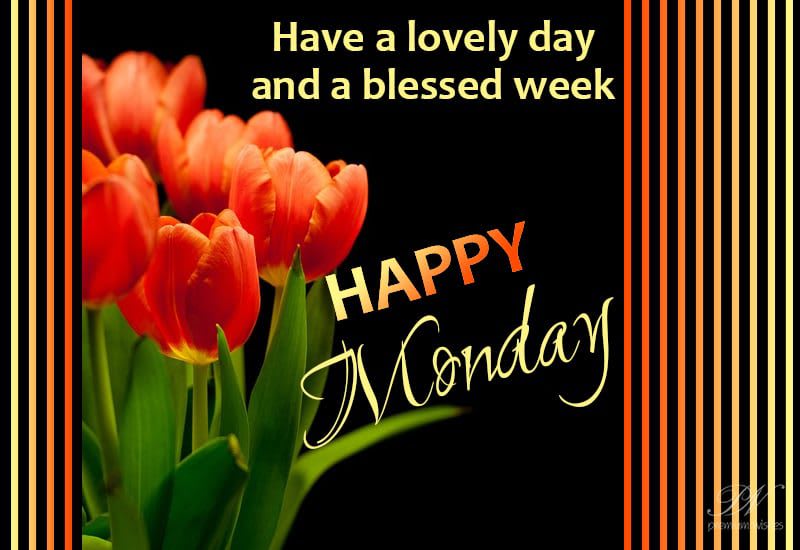 Monday Wishes - Premium Wishes
