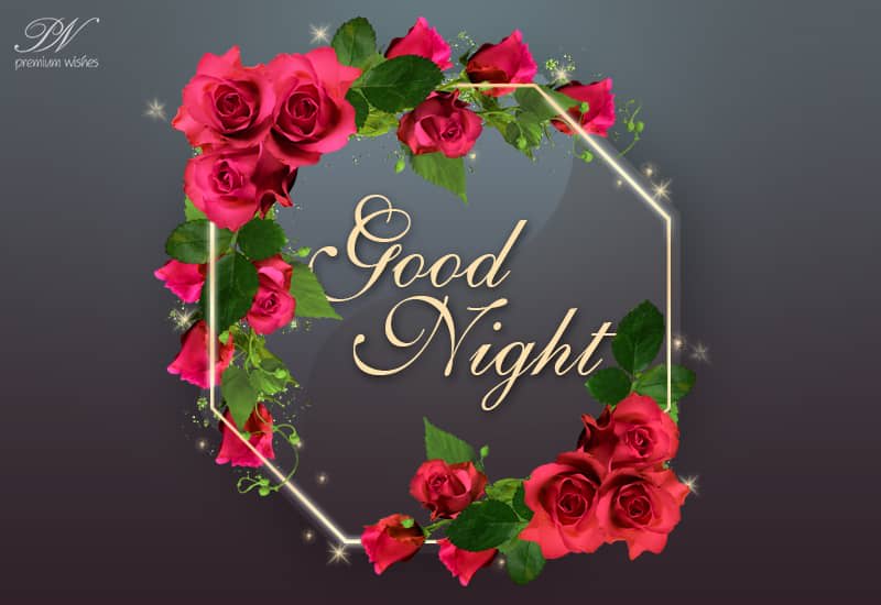 Good Night - Have a night full of wonderful dreams - Premium Wishes