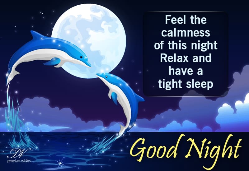 Good Night - Feel the calmness of this night, Relax and have a tight ...