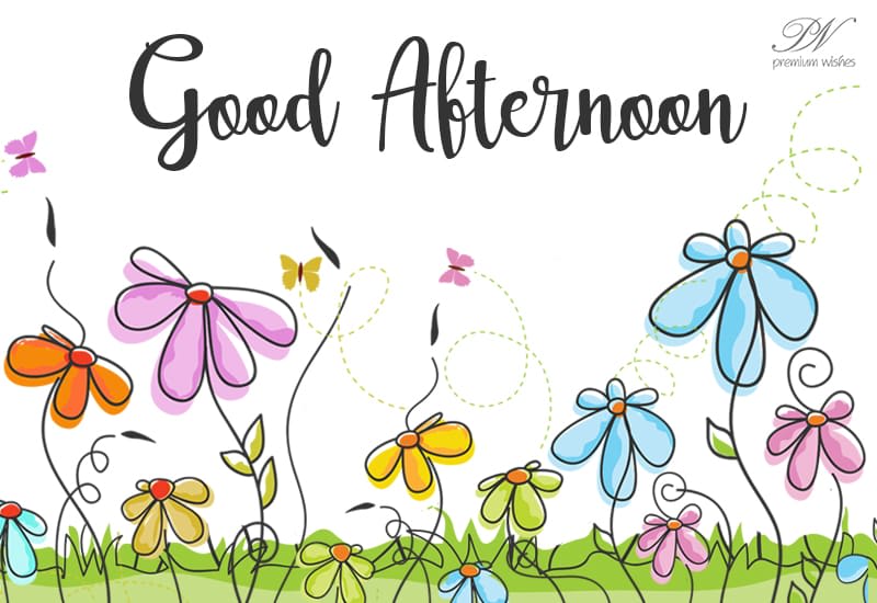 Good Afternoon - Enjoy the noon with nature - Premium Wishes