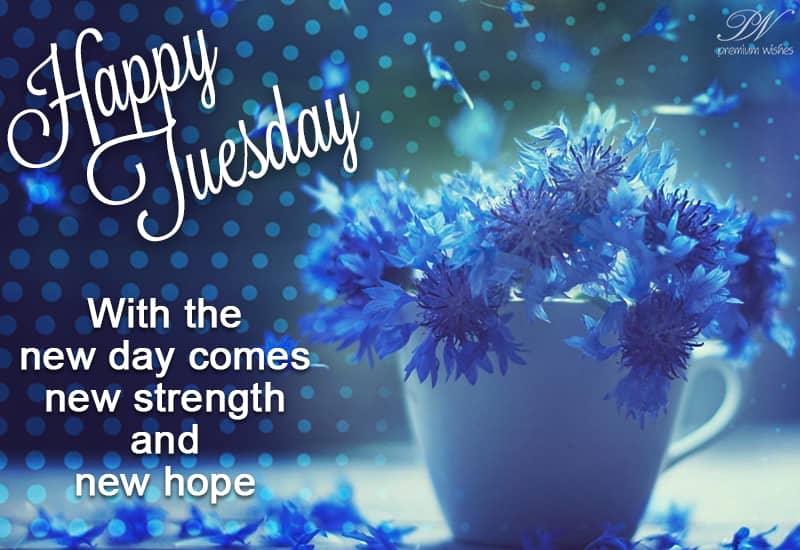 Happy Tuesday - With a new day comes new hope and strength - Premium Wishes