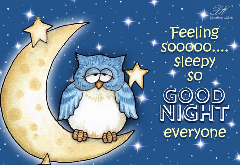 Feeling so sleepy - Good Night Friends - Premium Wishes