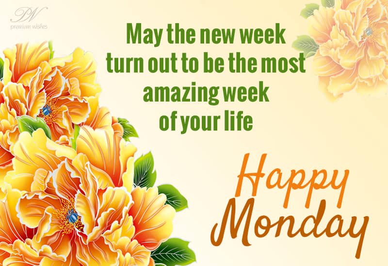 Happy Monday - May the new week turn out to be the most amazing week of ...