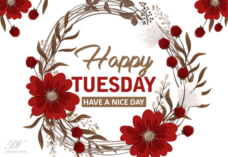 Tuesday Wishes - Premium Wishes