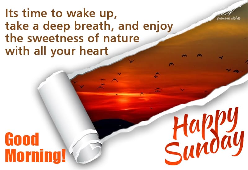 Happy Sunday - Get Up and Enjoy Nature - Premium Wishes