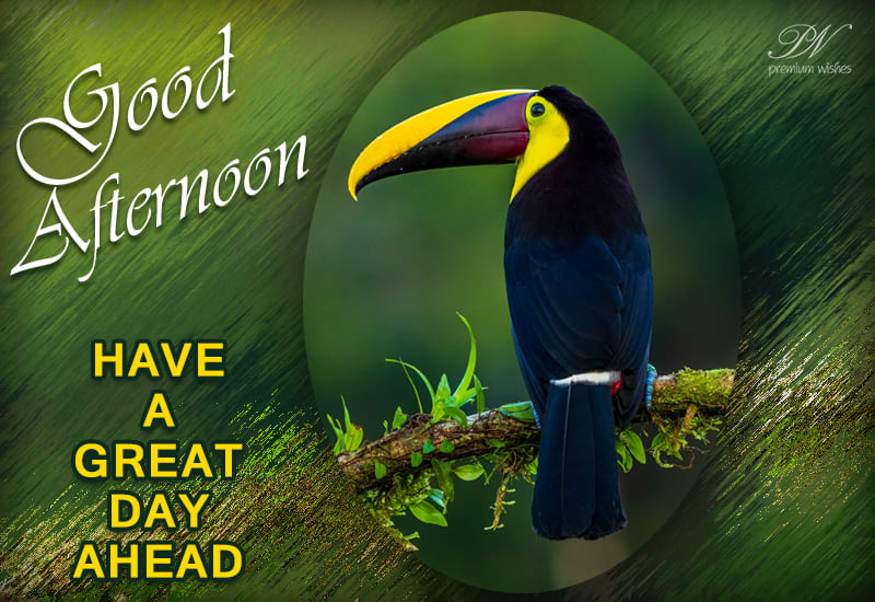 Good Afternoon - Have a great day ahead friends and enjoy - Premium Wishes