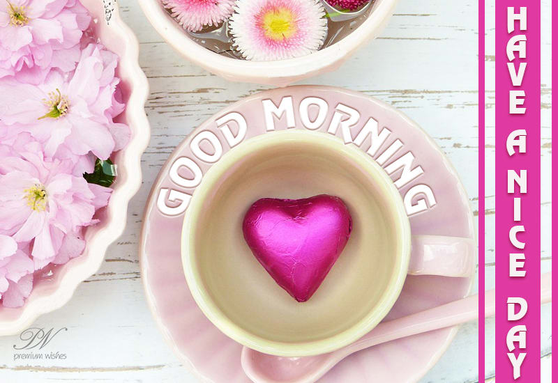 Simply Good Morning - Page 11 of 39 - Premium Wishes