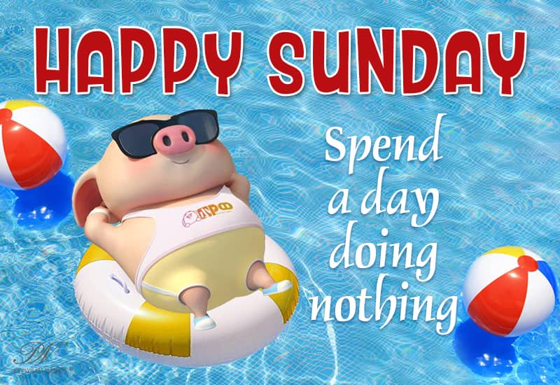 Happy Sunday - Spend a day doing nothing - Premium Wishes