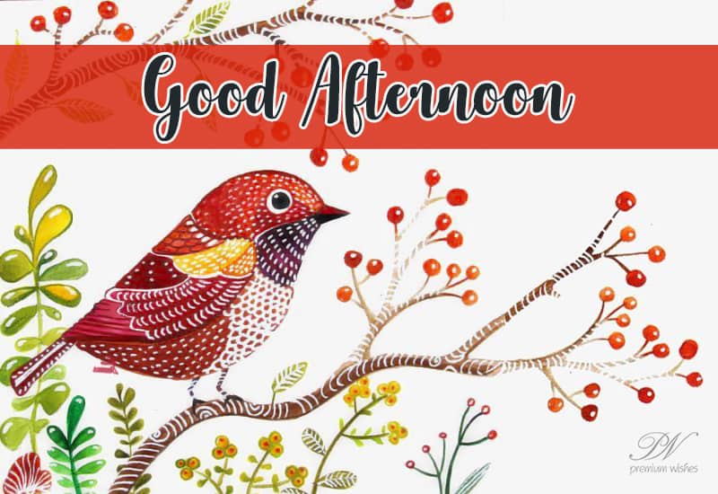 Good Afternoon - Have a great noon and day ahead - Be Happy and Smile ...