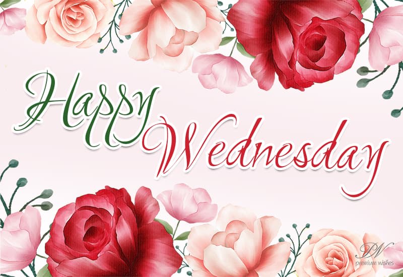 Happy Wednesday - Stay Safe and Healthy - Good Morning Friends ...