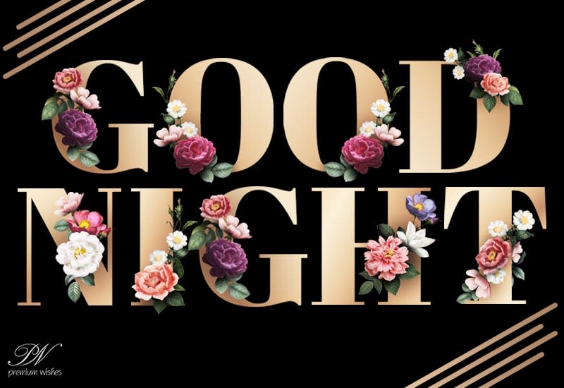Good Night Fellows - Enjoy the night ahead - Premium Wishes