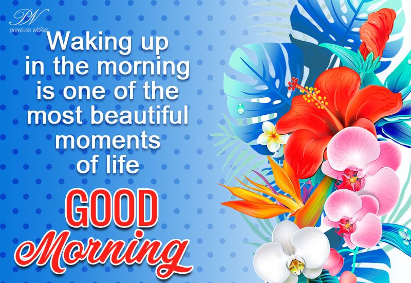 Simply Good Morning - Page 15 of 50 - Premium Wishes