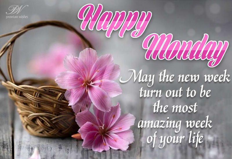Monday Wishes - Premium Wishes