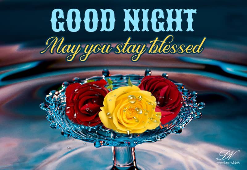 Good Night - May you be blessed - Premium Wishes