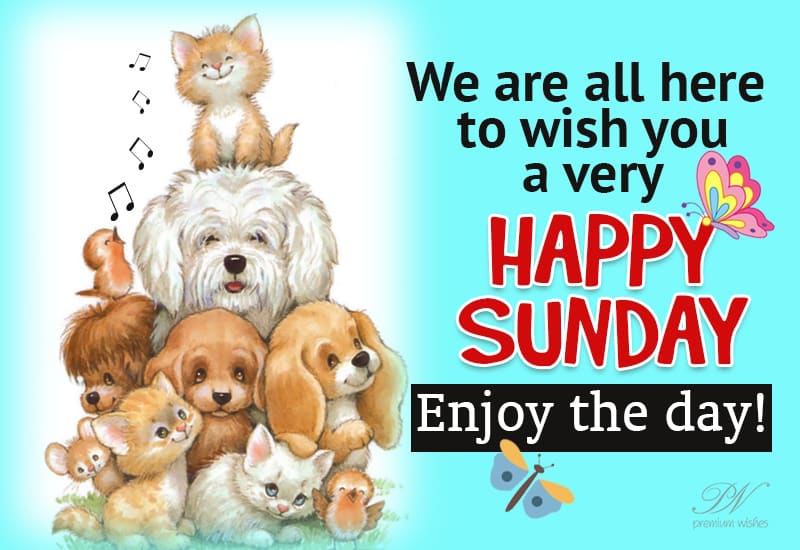 We all are here to wish you a Happy Sunday - enjoy the day - Premium Wishes