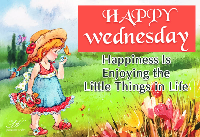 Wednesday Wishes - Premium Wishes