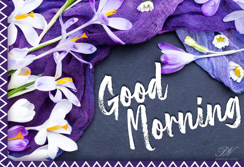 Simply Good Morning - Page 15 of 53 - Premium Wishes