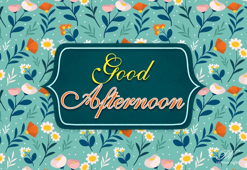 Good Afternoon - have a happy noon ahead - Premium Wishes
