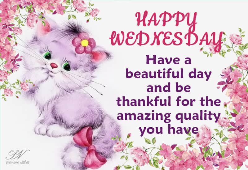 Happy Wednesday - Have a beautiful day and be thankful for the amazing ...