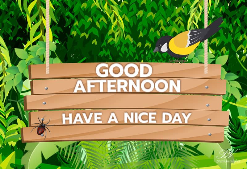 Have a nice noon - Happy Afternoon Friends - Premium Wishes