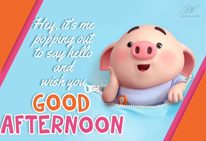 Peek-a-boo - Good Night Friends - Premium Wishes