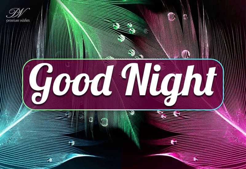 Good Night - Enjoy the colours of the night - Sleep Well - Premium Wishes