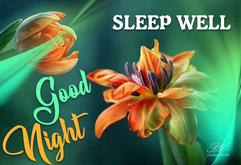 Good Night - Sleep Well Friends - Hope You Have Fabulous Night ...