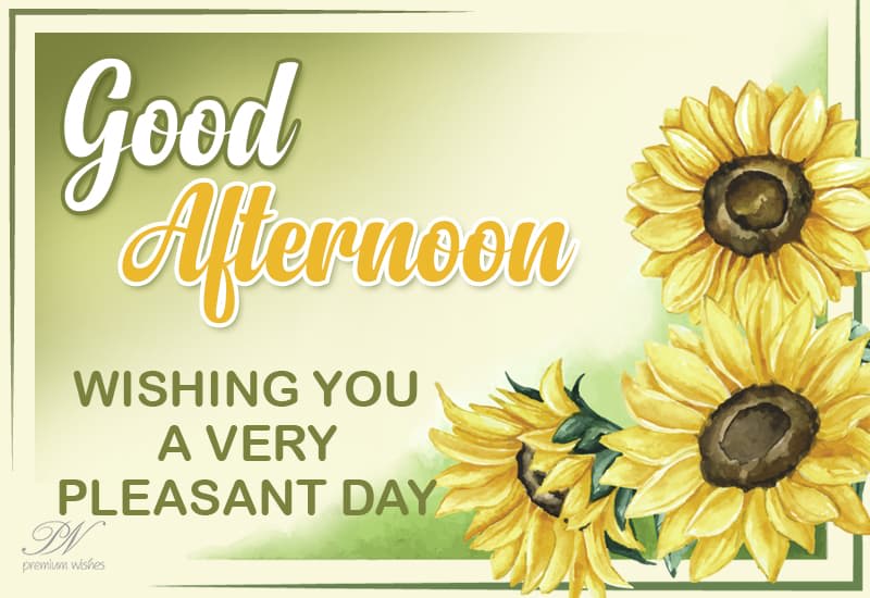 Good Afternoon Friend - Wishing you a very pleasant day ahead - Premium ...