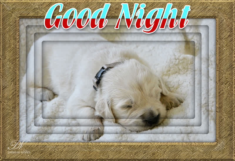 Good Night Friends - Hope you sleep well. Wish you wake up rejuvenated ...