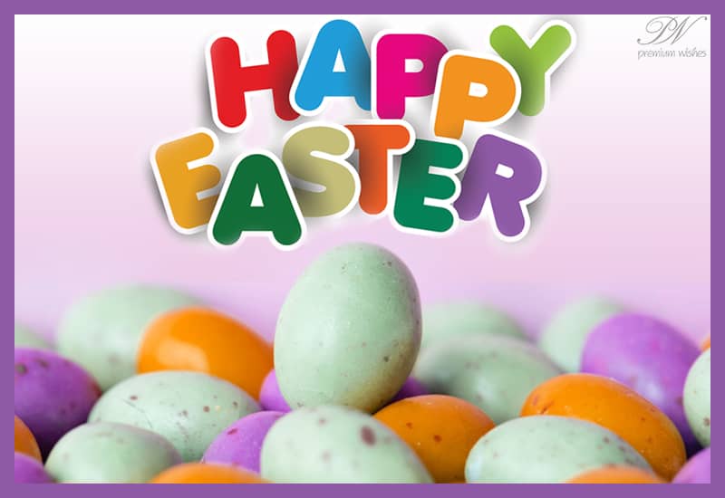 Happy Easter - Have fun! - Premium Wishes