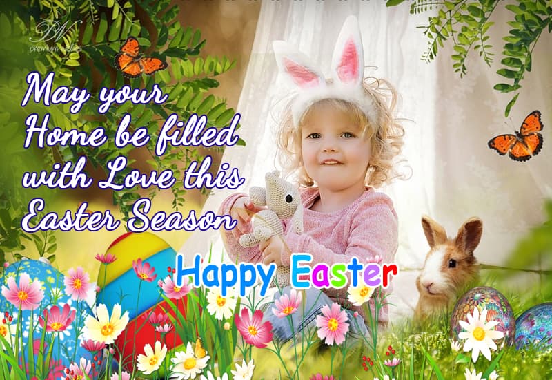 Happy Easter Love - Premium Wishes