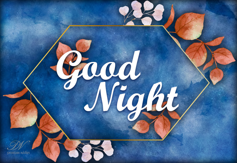 Good night, buddy! May the moonlight bring you comfort and embrace you ...