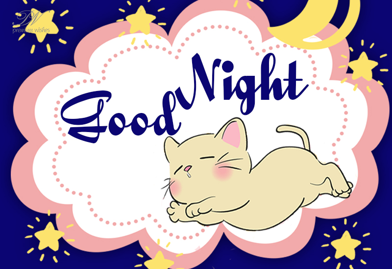 Good Night Dear Friends - Hope you enjoy the night ahead - Premium Wishes