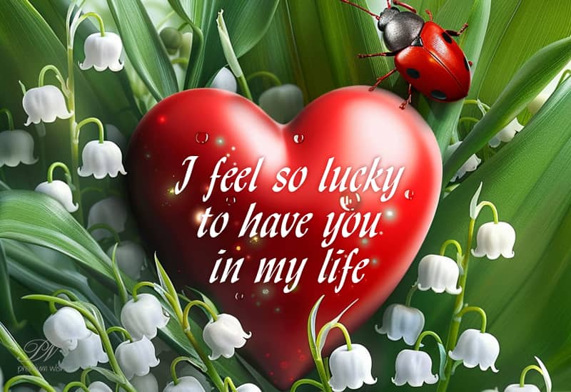 I feel so happy to have you in my life - Premium Wishes