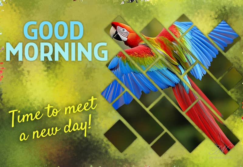 Good Night - May all your dreams be of amazing things - Premium Wishes