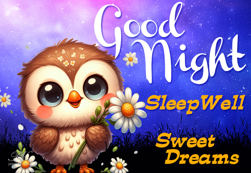 Good Night - Sleep Well - Sweet Dreams - Premium Wishes