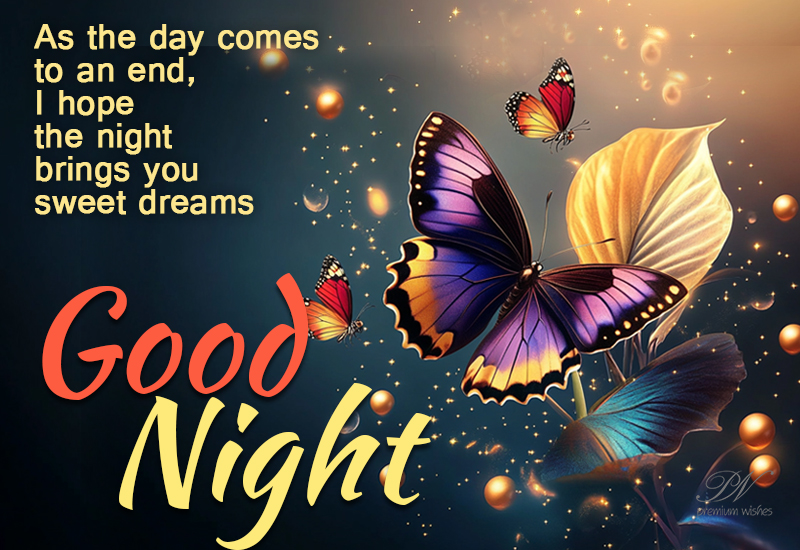Good Night - As the day comes to an end, I hope the night brings you ...
