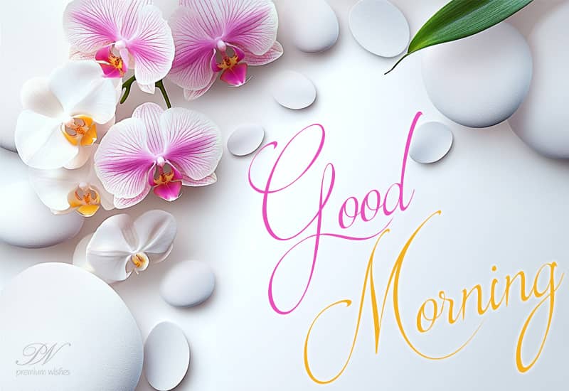Stay upbeat and positive all day long - Good Morning - Premium Wishes