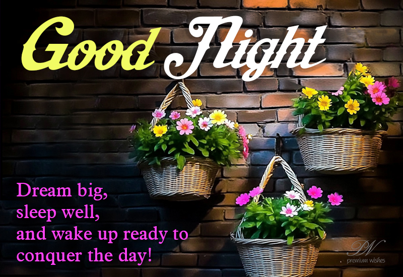 Good Night - Dream big, sleep well and wake up ready to conquer the day ...