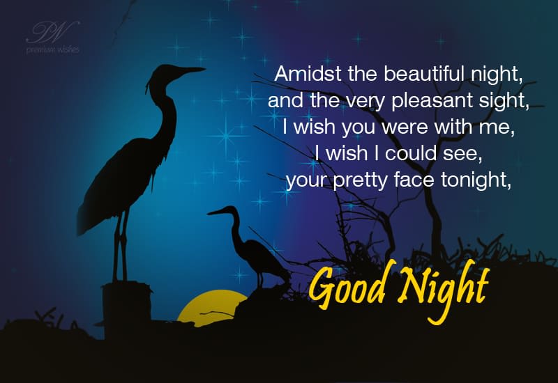 Good Night - Beautiful Night With You - Premium Wishes